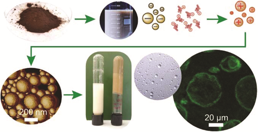 All-lignin approach to prepare cationic colloidal lignin particles ...
