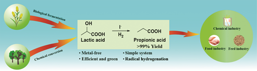 Highly selective production of propionic acid from lactic acid ...