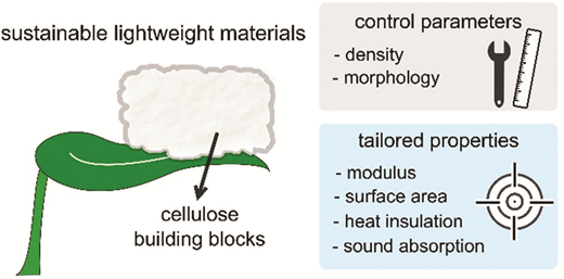 Fundamentals of cellulose lightweight materials: bio-based assemblies ...