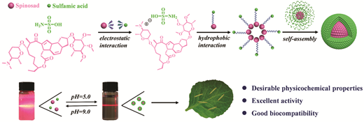 A simple preparation process for an efficient nano-formulation: small ...