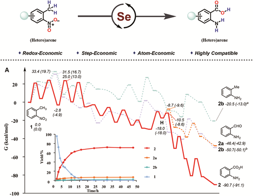 Selenium-catalyzed intramolecular atom- and redox-economical ...