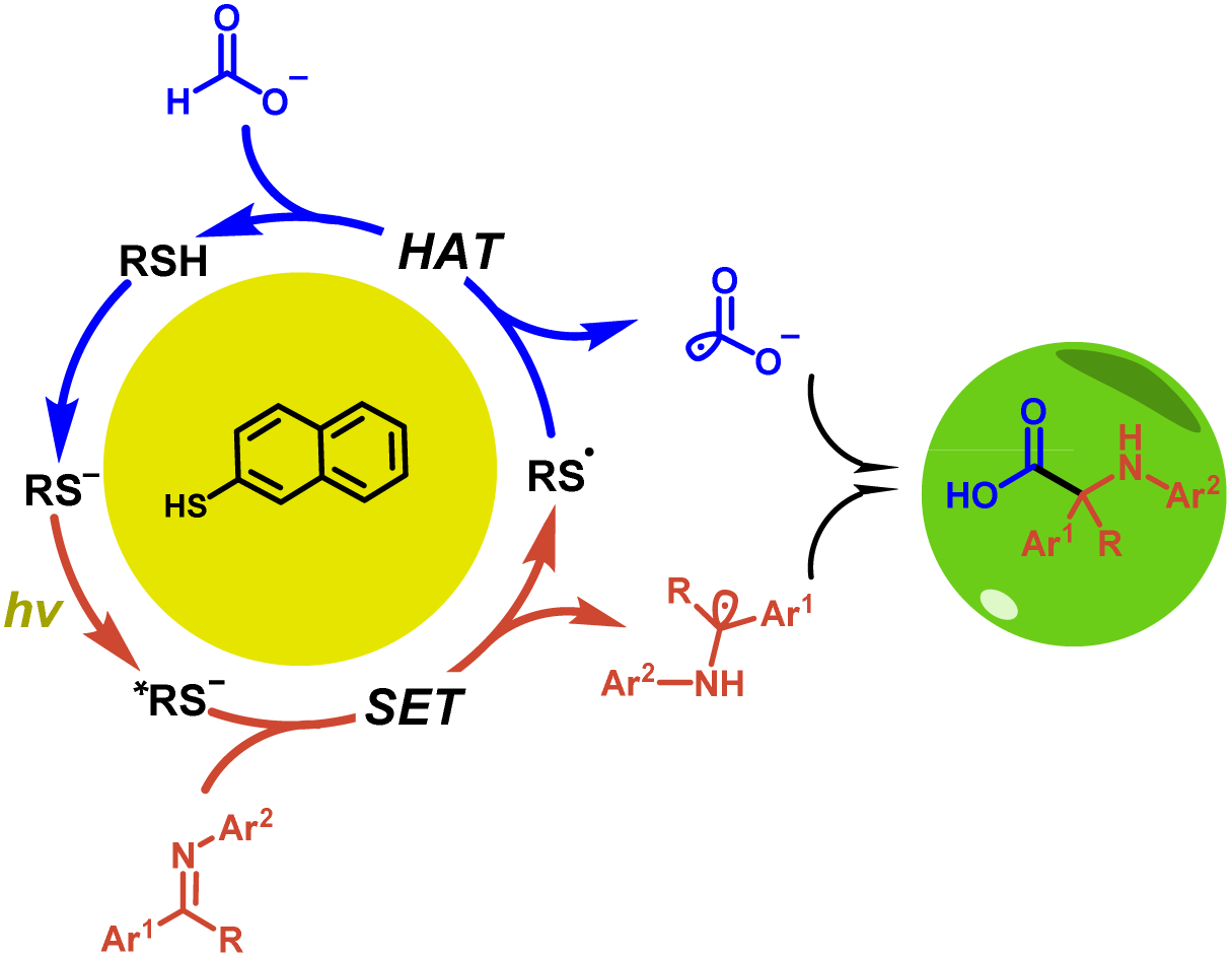 A novel approach for synthesizing α-amino acids via formate mediated ...