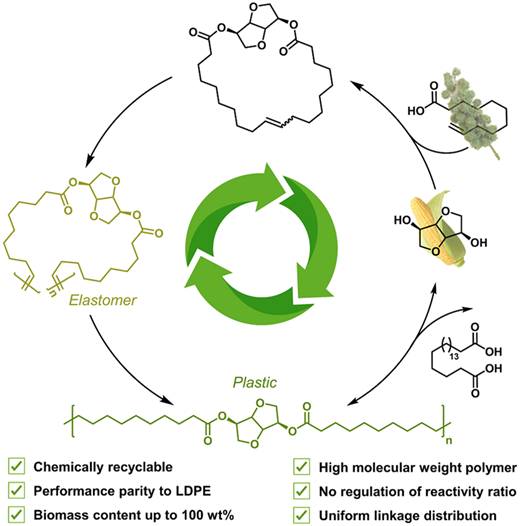 Chemically recyclable, fully biobased polyolefins with performance ...