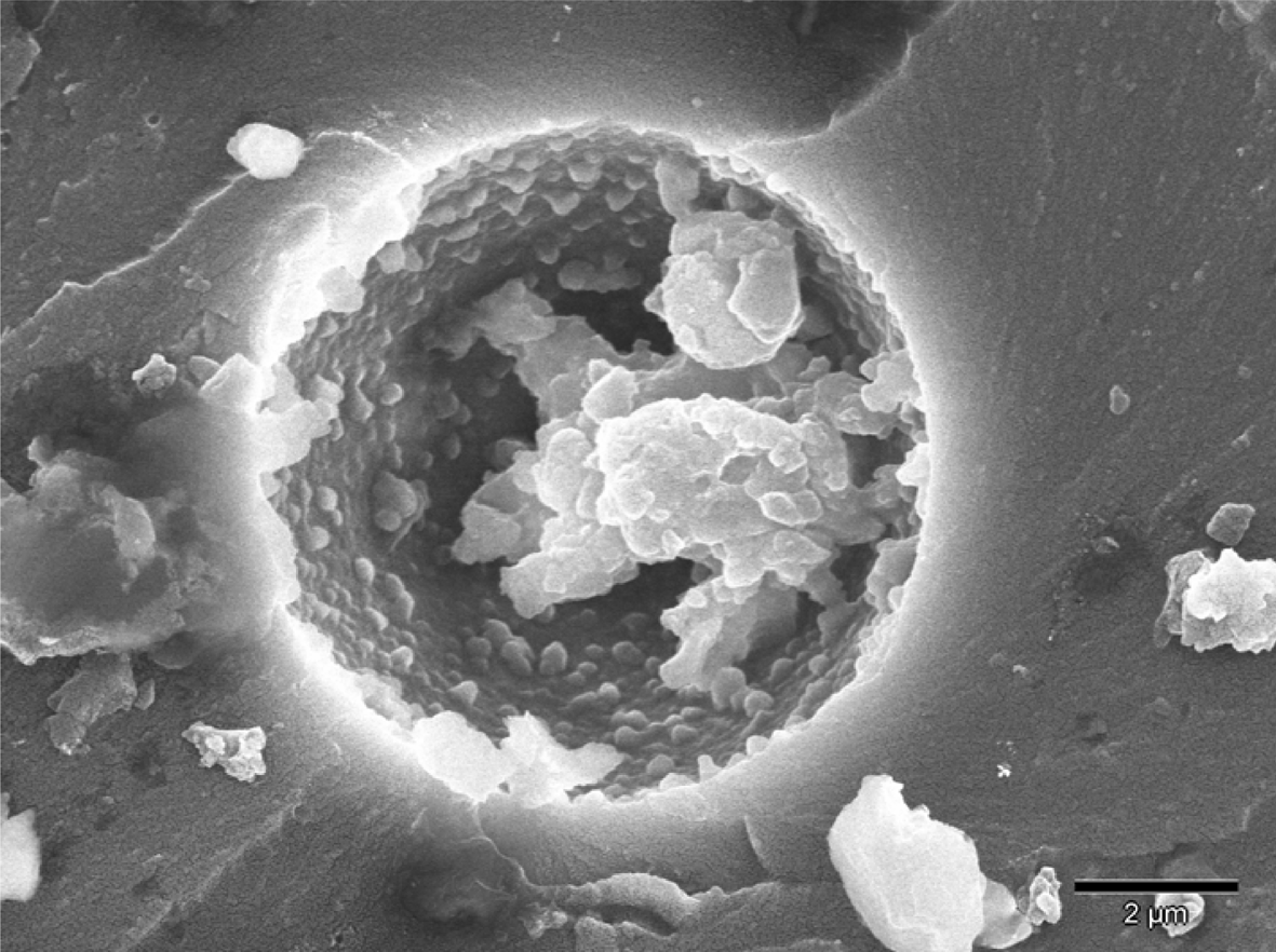 Biobased resin as a toughening agent for biocomposites | Green ...