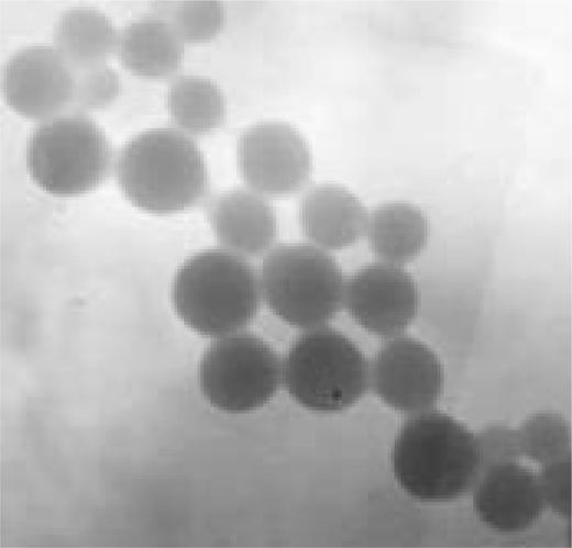 Green synthesis of silver nanoparticles using Capsicum annuum L ...