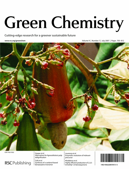 Formation and reaction of diazonium salts in a CO2/H2O system | Green ...