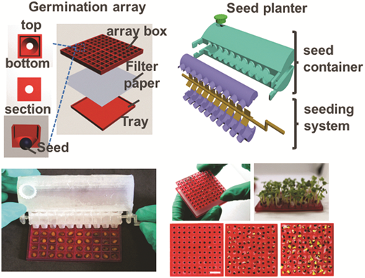 3D-Printed seed planter and well array for high-throughput seed ...