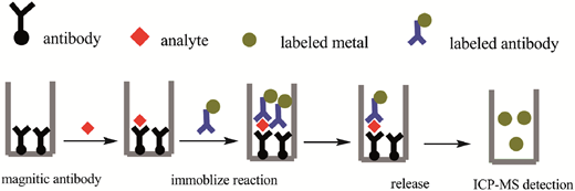 Magnetic quantitative immunoanalysis of carcinoembryonic antigen by ICP ...