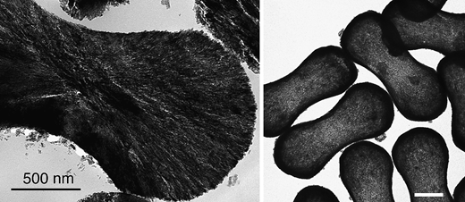Magnetically responsive and hollow colloids from nonspherical core ...