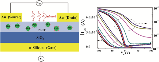 Highly sensitive organic near-infrared phototransistors based on poly(3 ...