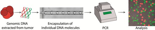 Quantitative and sensitive detection of rare mutations using droplet ...