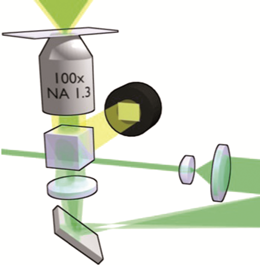 Holographic optical tweezers and their relevance to lab on chip devices ...