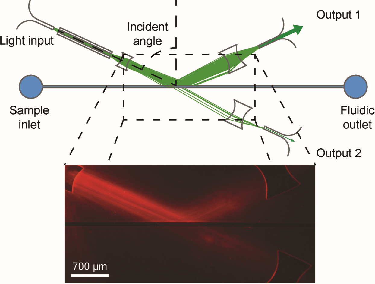 Optofluidic micro-sensors for the determination of liquid ...