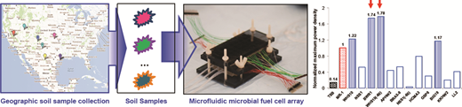 A microfluidic microbial fuel cell array that supports long-term ...
