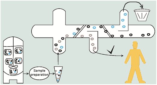 Dielectrophoresis based continuous-flow nano sorter: fast quality ...