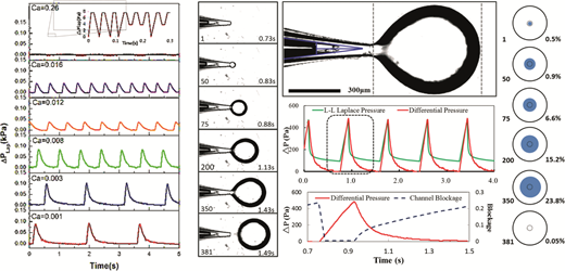 Direct measurement of the differential pressure during drop formation ...