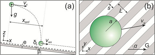 Principles of transverse flow fractionation of microparticles in ...