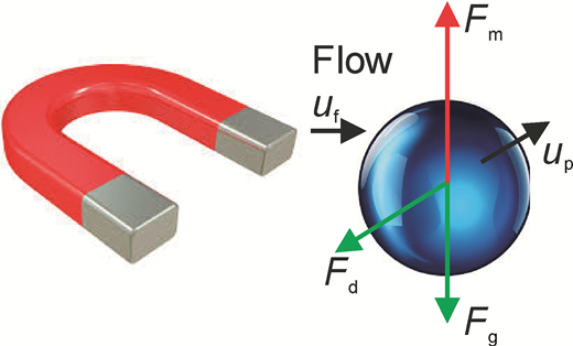 Lab on a chip for continuous-flow magnetic cell separation | Lab on a ...