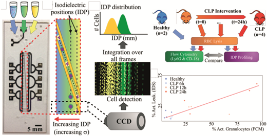 Monitoring sepsis using electrical cell profiling† | Lab on a Chip ...