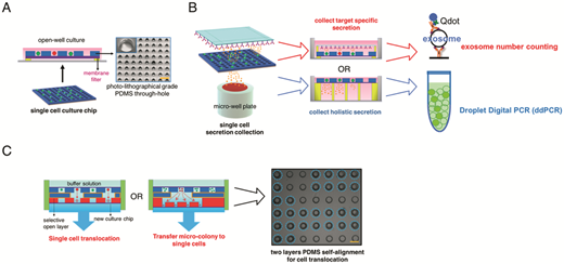 A single-cell translocation and secretion assay (TransSeA) | Lab on a ...