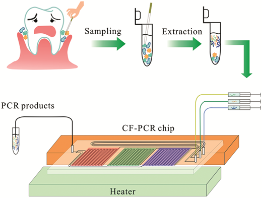 A continuous flow PCR array microfluidic chip applied for simultaneous ...
