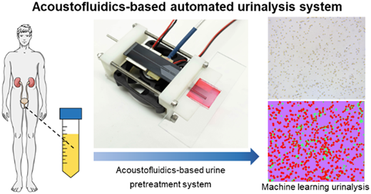 Acoustofluidic-based microscopic examination for automated and point-of ...