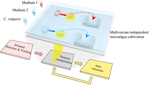 Intelligent optoelectrowetting digital microfluidic system for real ...