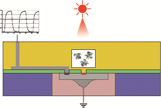 Integrated microfluidic UV absorbance detector with attomol-level ...
