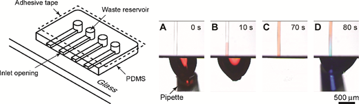 Power-free sequential injection for microchip immunoassay toward point ...