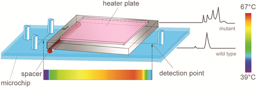 DNA mutation detection with chip-based temperature gradient capillary ...