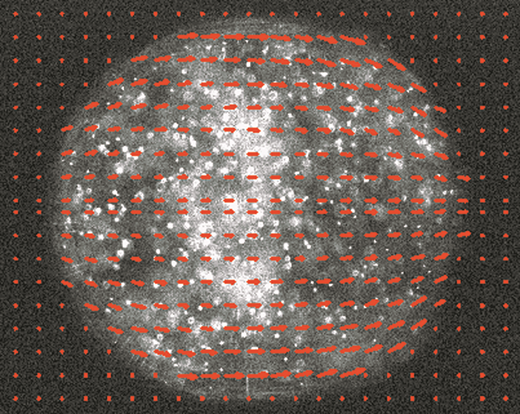 A study of EWOD-driven droplets by PIV investigation | Lab on a Chip ...