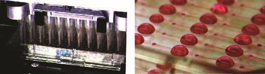 Automated cell culture in high density tubeless microfluidic device ...