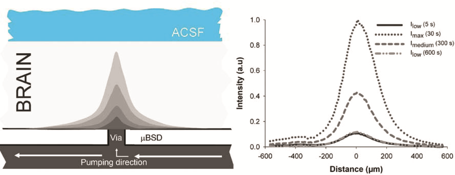 Microfluidic add-on for standard electrophysiology chambers | Lab on a ...