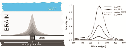 Microfluidic add-on for standard electrophysiology chambers | Lab on a ...