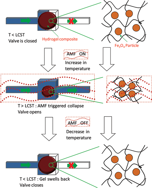 Magnetic hydrogel nanocomposites as remote controlled microfluidic ...