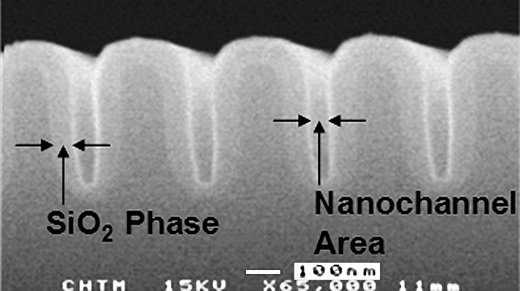 Experimentally and theoretically observed native pH shifts in a ...