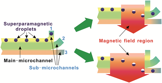 On-chip manipulation of continuous picoliter-volume superparamagnetic ...