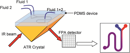 Chemical imaging of microfluidic flows using ATR-FTIR spectroscopy ...