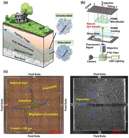 Elucidating vadose zone solute transport dynamics via soil-embedded ...