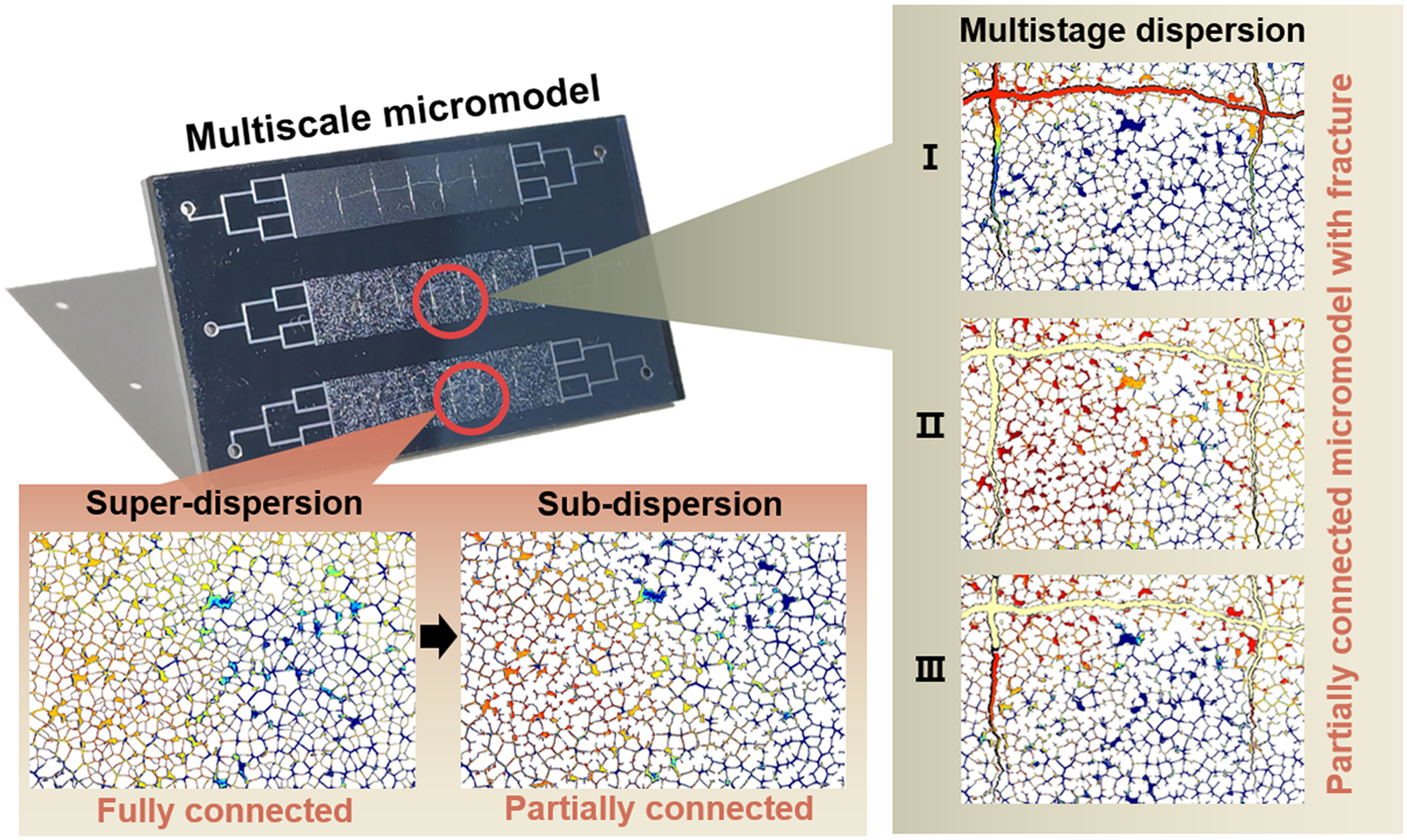 Direct observation of anomalous CO2 dispersion in multi-scale porous ...