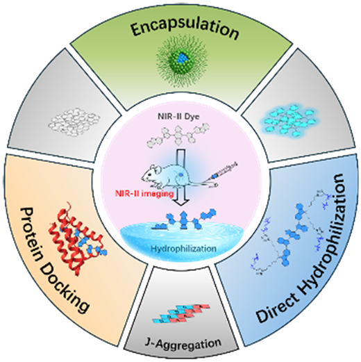 Hydrophilization strategies for small-molecule NIR-II fluorophores ...