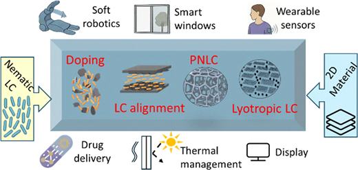 A critical overview of the influence of graphene and its analogues on ...