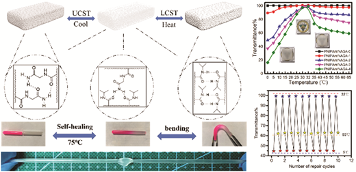 Adjustable dual temperature-sensitive hydrogel based on a self-assembly ...