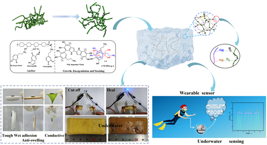 An anti-swelling and wet-adhesive nanocellulose hydrogel sensor for ...