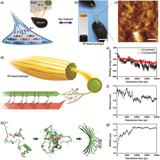 A silk-based sealant with tough adhesion for instant hemostasis of ...