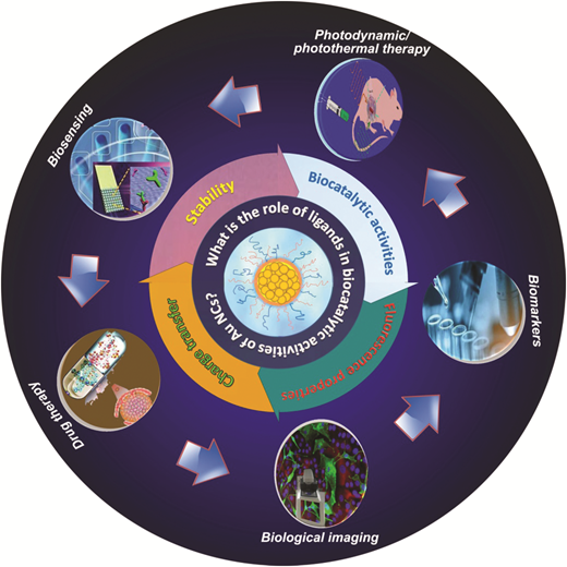 Ultrasmall Au nanoclusters for bioanalytical and biomedical ...