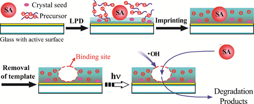 Selective photocatalysis on molecular imprinted TiO2 thin films ...