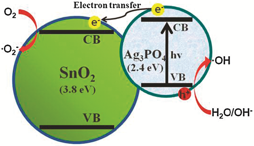 Ag3PO4/SnO2 semiconductor nanocomposites with enhanced photocatalytic ...