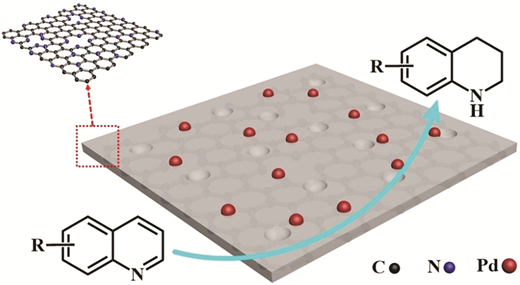 Selective hydrogenation of quinolines into 1,2,3,4-tetrahydroquinolines ...
