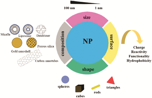 Current understanding of nanoparticle toxicity mechanisms and ...